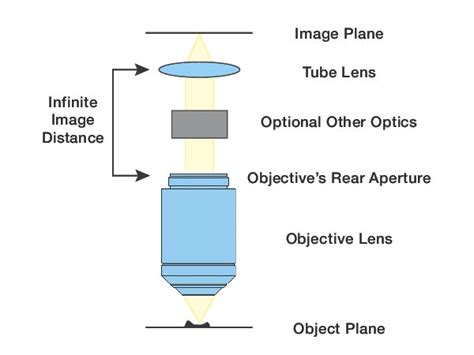 Infinite Conjugate Microscope Objective Lenses