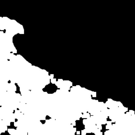 Example Of Automatic Shoreline Extraction By Sentinel 1 Synthetic Download Scientific Diagram