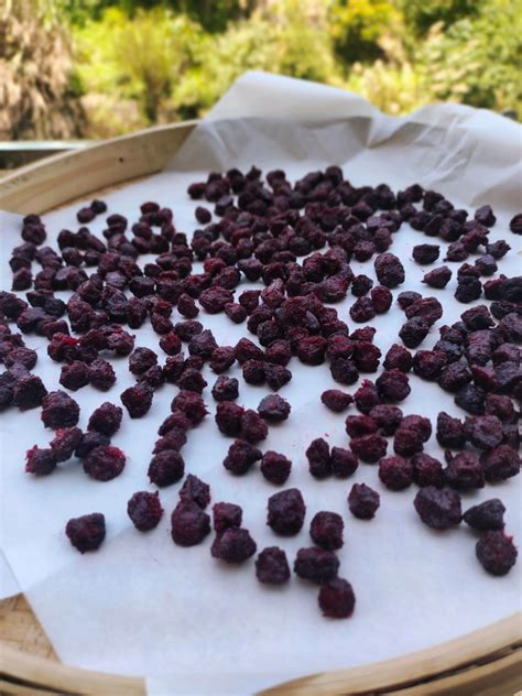 【无添加杨梅干的做法步骤图，怎么做好吃】星晴宝下厨房