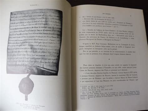 Thierry De Hennin De Boussu Walcourt Les Origines Et Catawiki