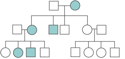 Genetic And Congenital Disorders Autosomal Dominant Disorders Part 1