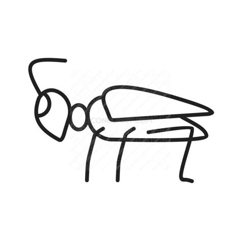 Grasshopper Icon At Collection Of Grasshopper Icon