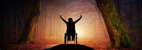 Global Disability And Employment Statistics Access Locals