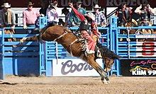 Bronc Riding Wikipedia