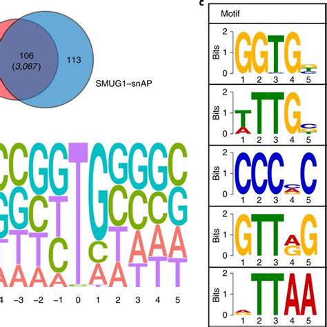 Sequencing Abasic Sites In Dna At Single Nucleotide Resolution