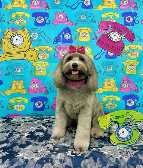 Batani 💈☎️ Telefono Descompuesto ☎️💈 Modelo Mafalda 📞 BaÑo Premium 🛁