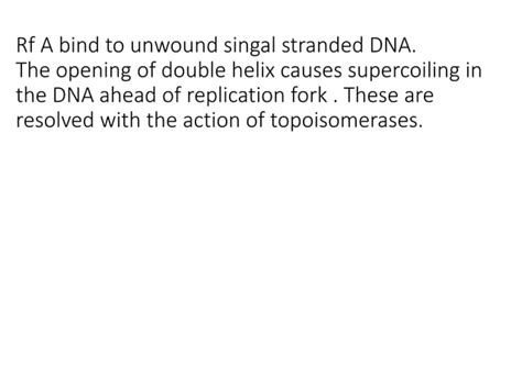 dna replication in eukaryotes pptx