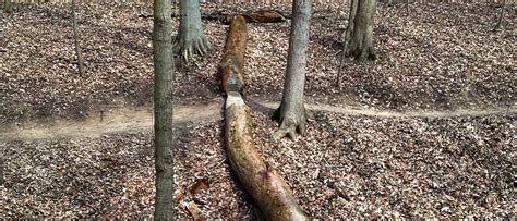 Php Output Profiling Echo Vs Concat Daniel Doezemas Blog