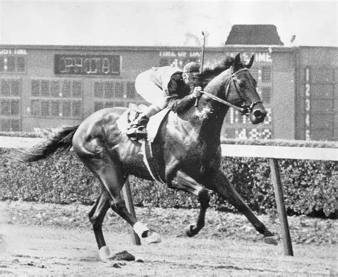 Top 10 Racehorses Of All Time Blog