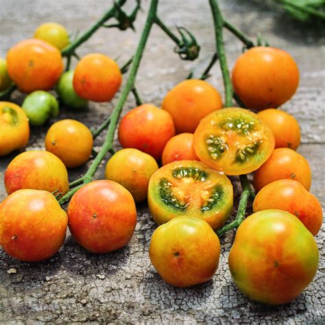 Isis Candy Cherry Tomato Seeds Baker Creek Seeds