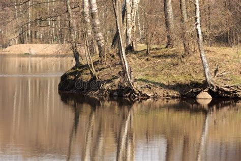 Small Peninsula In Spring Stock Image Image Of Landscape 74757453