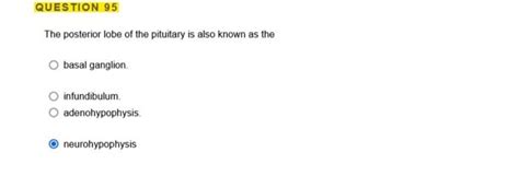 Solved Preganglionic Neurons Of The Sympathetic Nervous