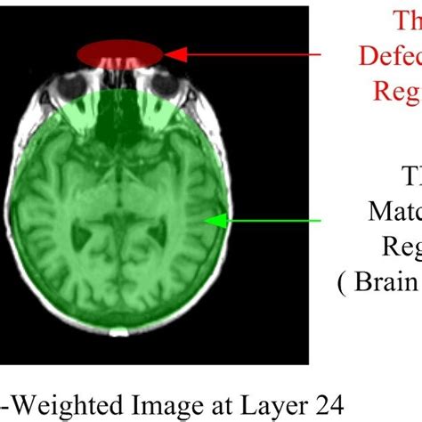 Image Resizing Process Download Scientific Diagram