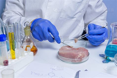 实验室肉制品质量控制专家检验