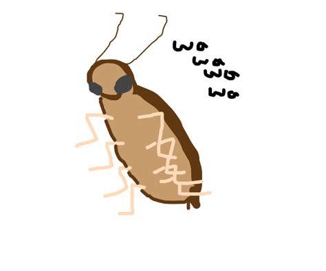 Cockroach Drawception