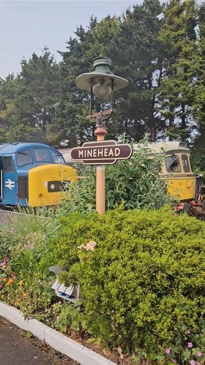 Class 45 And Class 33 Travel Trains 45108 Class45 Kolejwuk Railway