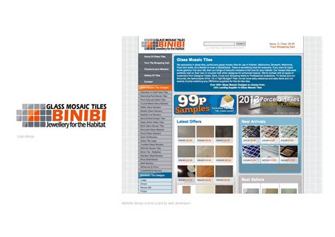Binibi Website And Logo Design Pdf