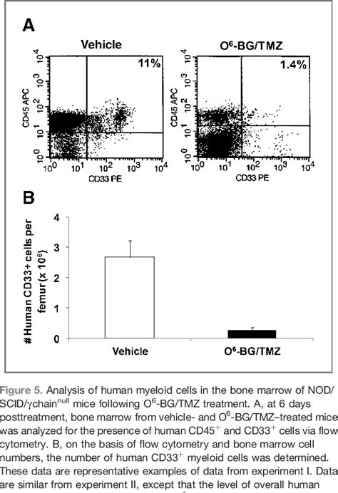 Figure 1 From Humanized Bone Marrow Mouse Model As A Preclinical Tool