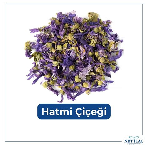 Hatmi Çiçeği Hatmi Çiçeği Faydaları Nbt İlaç