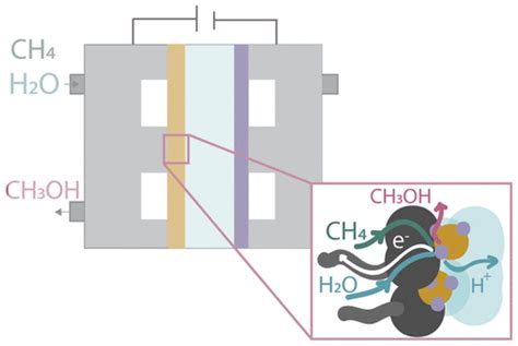 Electrochemical Oxidation Of Methane To Methanol Shows Potential Energy Technologies Area
