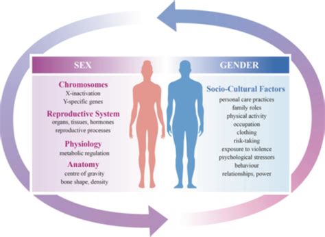8 Human Sexuality Sexual Orientation And Gender Identity Flashcards Quizlet