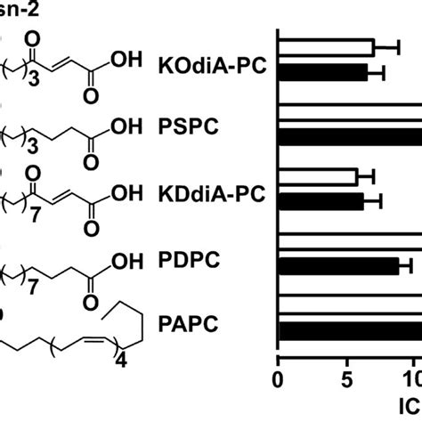 Phospholipids With Neutral Polar Functional Groups In The Distal End Of Download Scientific