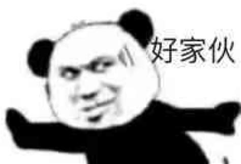 熊猫表情包 堆糖，美图壁纸兴趣社区