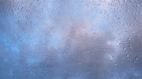 Drops Of Rain Drip Nature Free Photos On