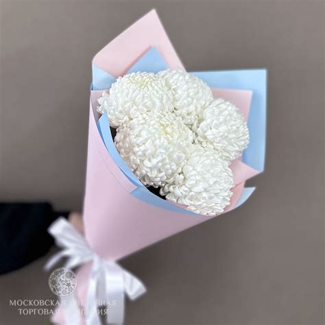 Букет 5 одноголовых хризантем Магнолия купить за 3 595 руб. с ...