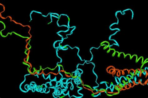Ask The Phd Understanding The Forms Of Alpha Synuclein Parkinsons