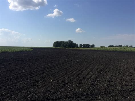 Art Enns Alus Grassed Buffer Seine Rat Roseau Watershed District