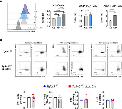 Transforming Growth Factor Receptor Iii Betaglycan Regulates The