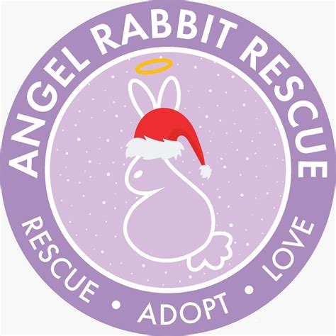 Angel Rabbit Rescue Added A New Photo Angel Rabbit Rescue