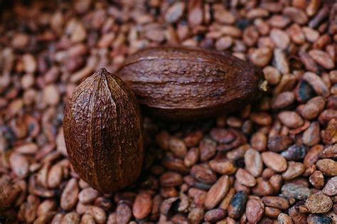 The Top Cocoa Producing Countries WorldAtlas