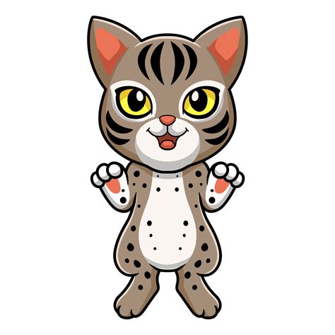 Cute Ocicat Cat Cartoon Standing 17071732 Vector Art At Vecteezy