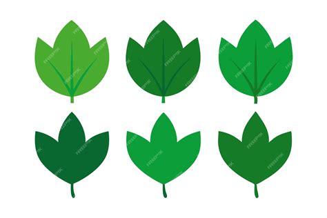 Premium Vector Tulip Tree Leaf Color Art Realistic Leaf Design With Subtle Hues