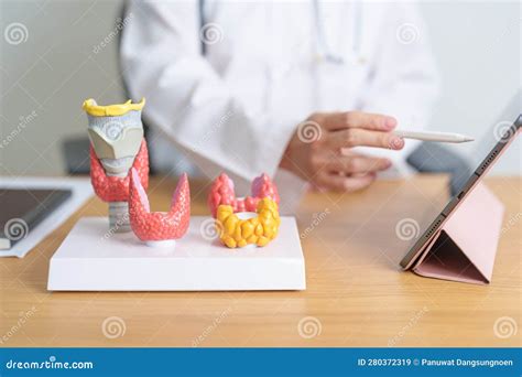 Hypothyroidism Hyperthyroidism Diagnostics Homepage Design With