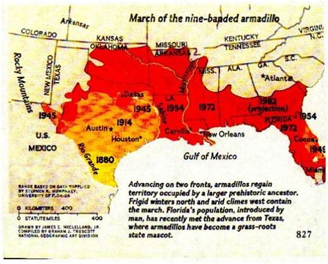 Map Of Where Armadillos Live And Have Lived The Armadillo
