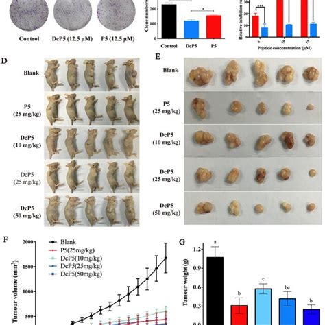 Cyclic Peptide Models And Their Ms Spectra A Structures Of Dcp5 And