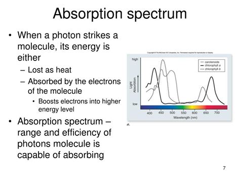 Ppt Photosynthesis Powerpoint Presentation Free Download Id2046784
