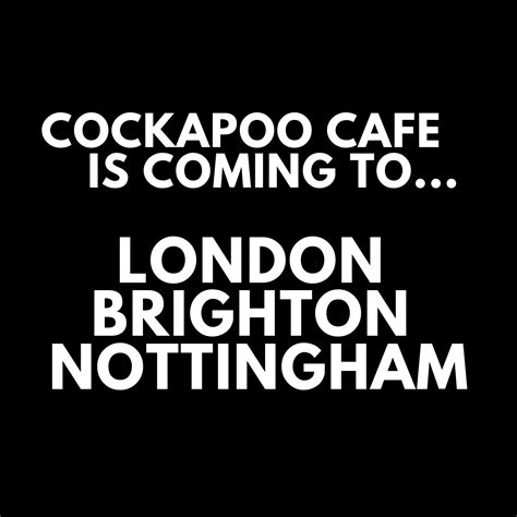 Cockapoo Cafe Our Cockapoo Cafe Is Coming To New Facebook
