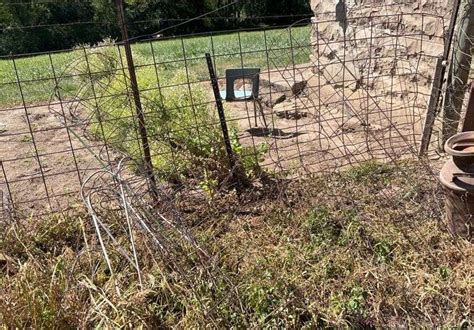 Assorted Tomato And Garden Cages Hamilton Maring Auction Group