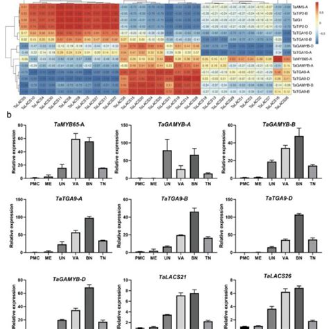 Expression Correlation Analysis Among Talacs Genes And Transcription Download Scientific