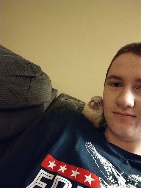 Josh Sidebotham Hotcars