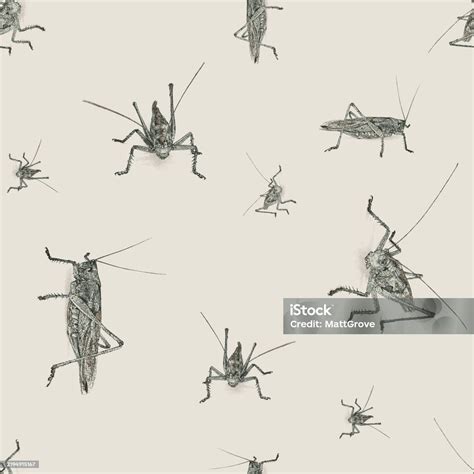 Grasshopper Cricket Seamless Repeat Stock Illustration Download Image