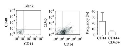 Phenotypic Aspects Of Polyp Derived Cells A Gate Strategies For