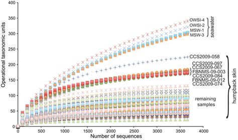 The Humpback Whale Population Graph