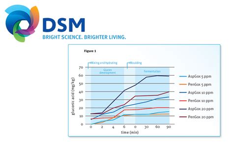 Functional Oxidation In Bread Making 2015 08 01 Snack And Bakery