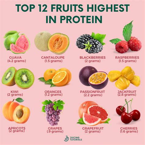 Protein In Fruits Infographic High Protein Fruit Nutrition Healthy