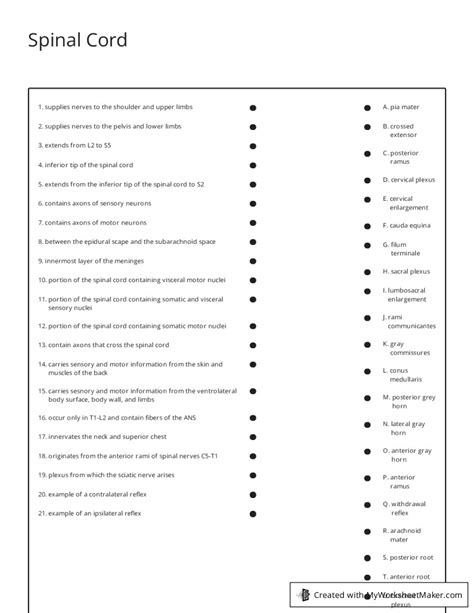 Spinal Cord My Worksheet Maker Create Your Own Worksheets